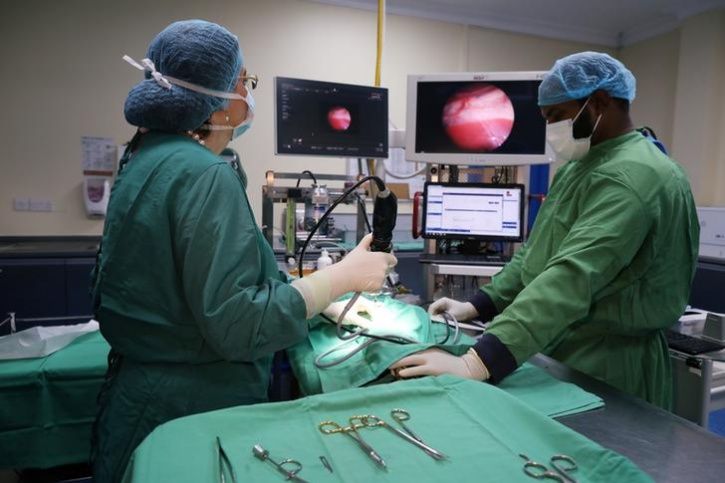 A Sneak Peek Inside The World's Largest Falcon Hospital In Abu Dhabi