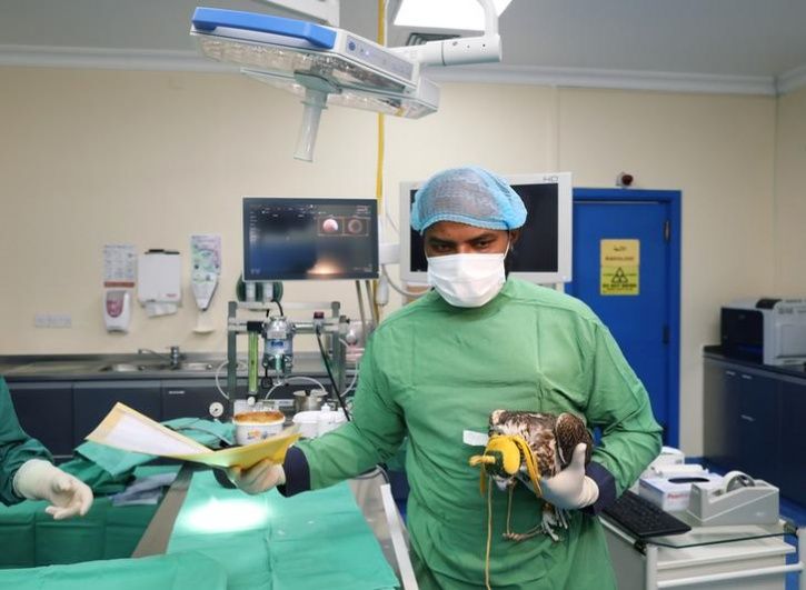 A Sneak Peek Inside The World's Largest Falcon Hospital In Abu Dhabi
