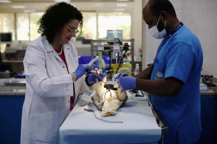 A Sneak Peek Inside The World's Largest Falcon Hospital In Abu Dhabi