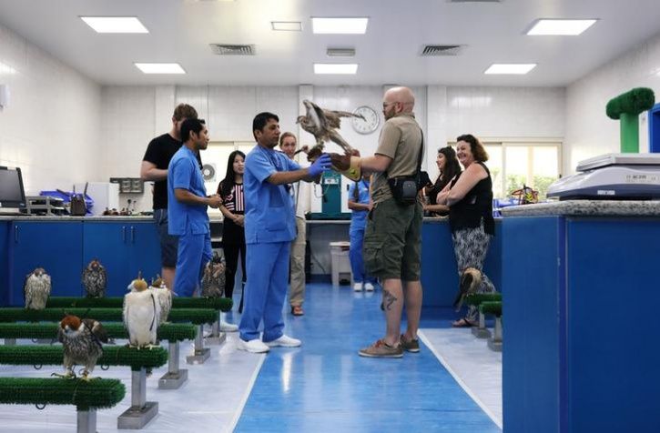 A Sneak Peek Inside The World's Largest Falcon Hospital In Abu Dhabi