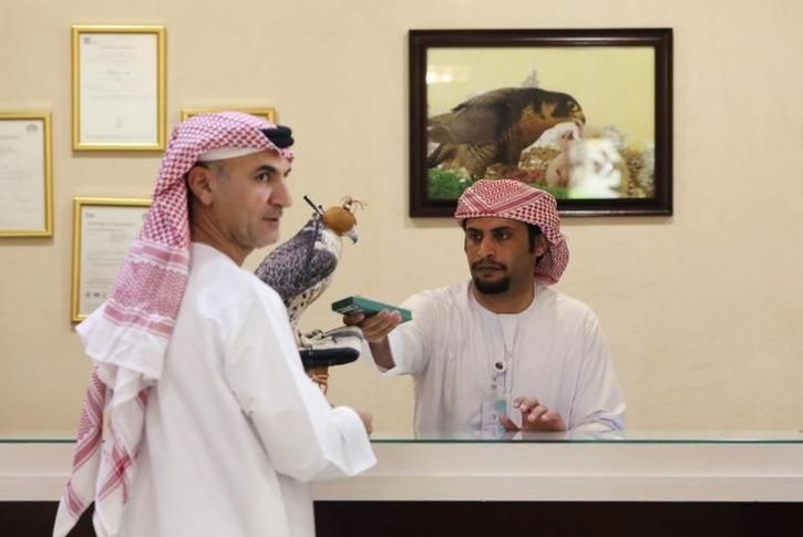 A Sneak Peek Inside The World's Largest Falcon Hospital In Abu Dhabi