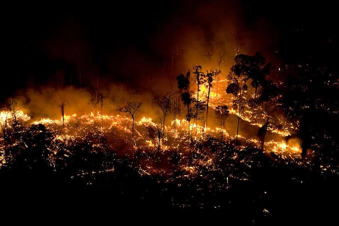 Amazon - The Fire In World's Largest Rainforest Is So Huge That It's ...