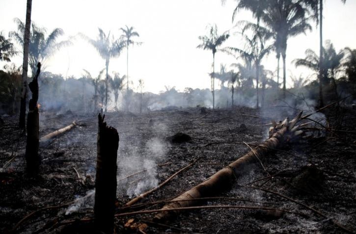 Amazon - The Fire In World's Largest Rainforest Is So Huge That It's ...