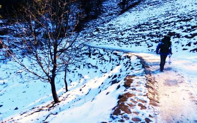 9 Things To Do In Chakrata Uttarakhand That'll Rejuvenate Your Mind ...