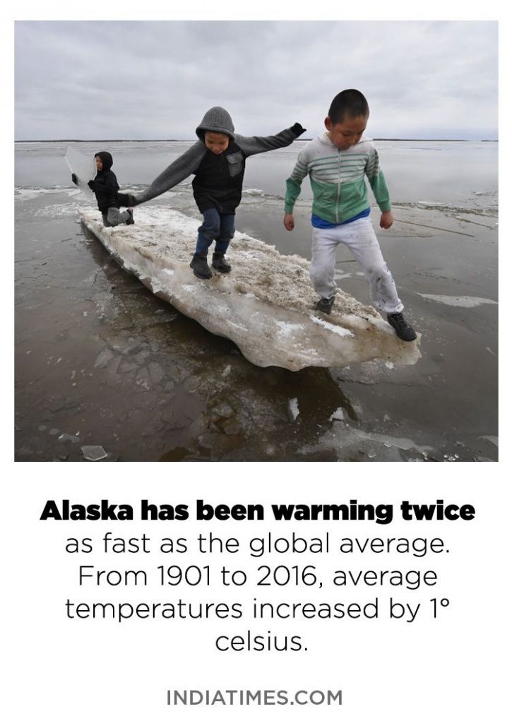 These 18 Alarming Facts Prove That Our Planet Is In Serious Trouble Due ...