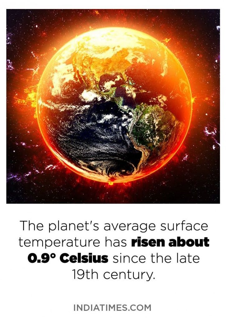 These 18 Alarming Facts Prove That Our Planet Is In Serious Trouble Due ...