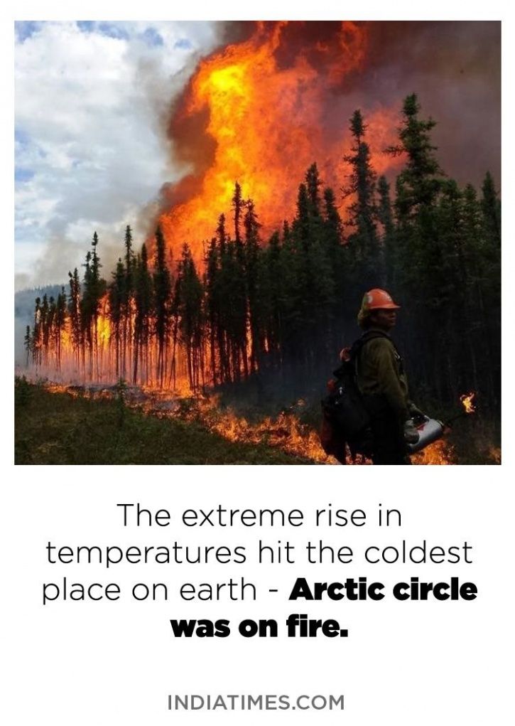 These 18 Alarming Facts Prove That Our Planet Is In Serious Trouble Due ...