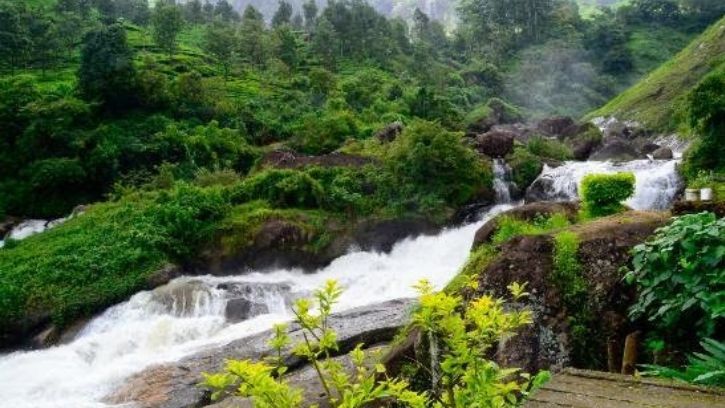 It’s Time To Pack Your Bags And Go To Munnar: Let This List Be Your Guide!