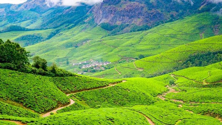 It’s Time To Pack Your Bags And Go To Munnar: Let This List Be Your Guide!