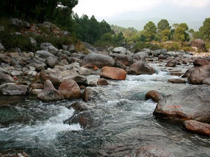 8 Reasons Why You Should Visit Palampur, A Tiny Paradise Nestled In The ...