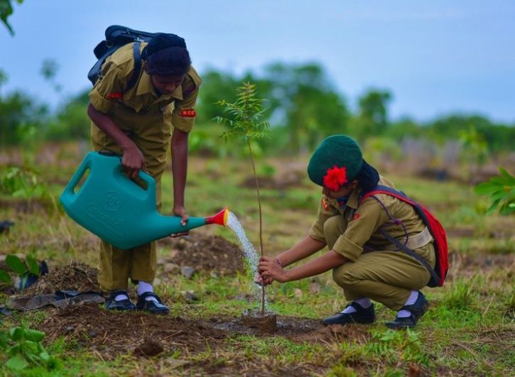 More Than A Million People Plant 220 Million Saplings In A Single Day ...