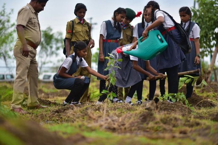 More Than A Million People Plant 220 Million Saplings In A Single Day ...