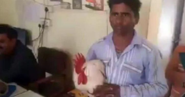 Annoyed With Neighbour's Pet Chicken For 'Attacking' Her Kid, MP Woman ...