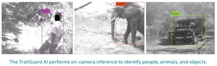 Intel Movidius AI-Powered Cameras Are Cracking Down On Poachers ...