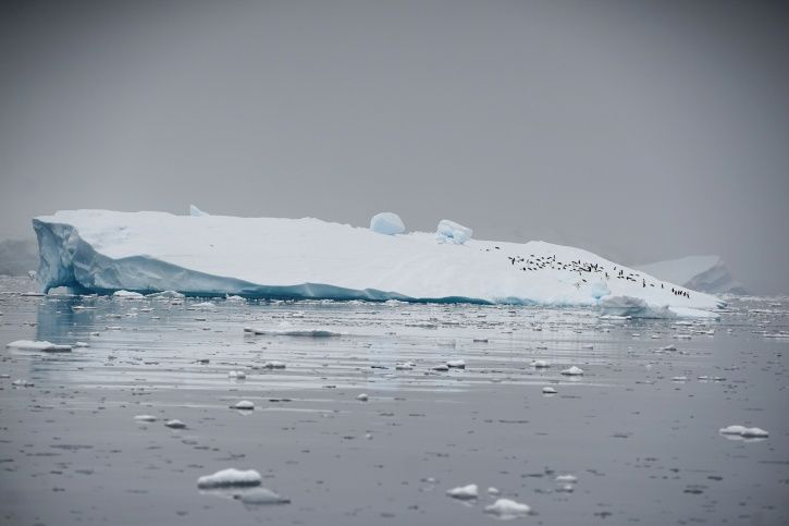 Antarctica Is Losing Six Times More Ice Annually Than It Was 40 Years ... Antarctica Is Losing Six Times More Ice Annually Than It Was 40 Years ...