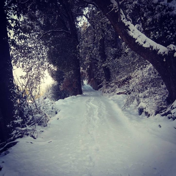 These Beautiful Photos From Snow Clad Places In India Will Put You In A ...