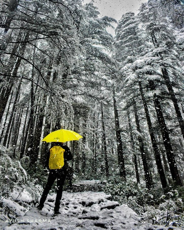 These Beautiful Photos From Snow Clad Places In India Will Put You In A ...