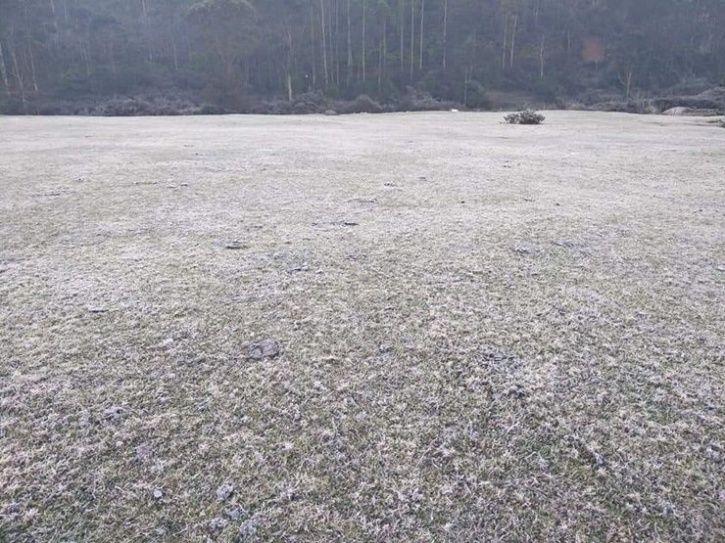 These 20 Images Of Munnar Will Make You Pack Your Bags And Enjoy Some ...