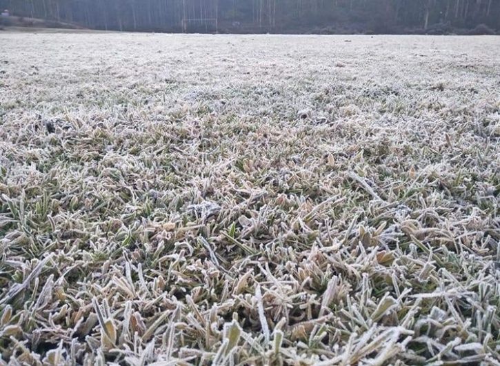 These 20 Images Of Munnar Will Make You Pack Your Bags And Enjoy Some ...