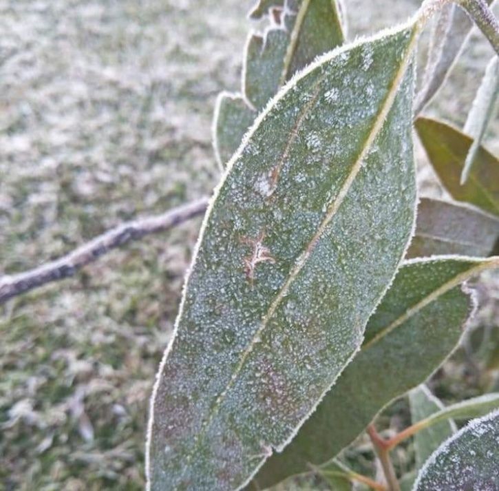 These 20 Images Of Munnar Will Make You Pack Your Bags And Enjoy Some ...