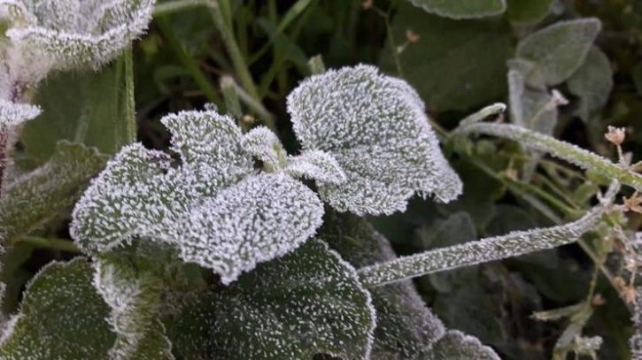 These 20 Images Of Munnar Will Make You Pack Your Bags And Enjoy Some ...