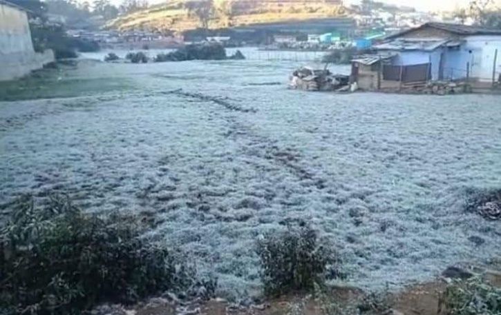 These 20 Images Of Munnar Will Make You Pack Your Bags And Enjoy Some ...