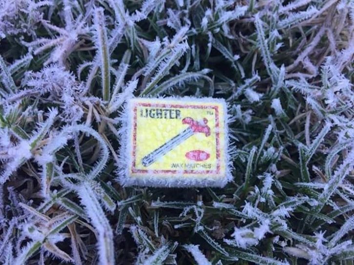 These 20 Images Of Munnar Will Make You Pack Your Bags And Enjoy Some ...