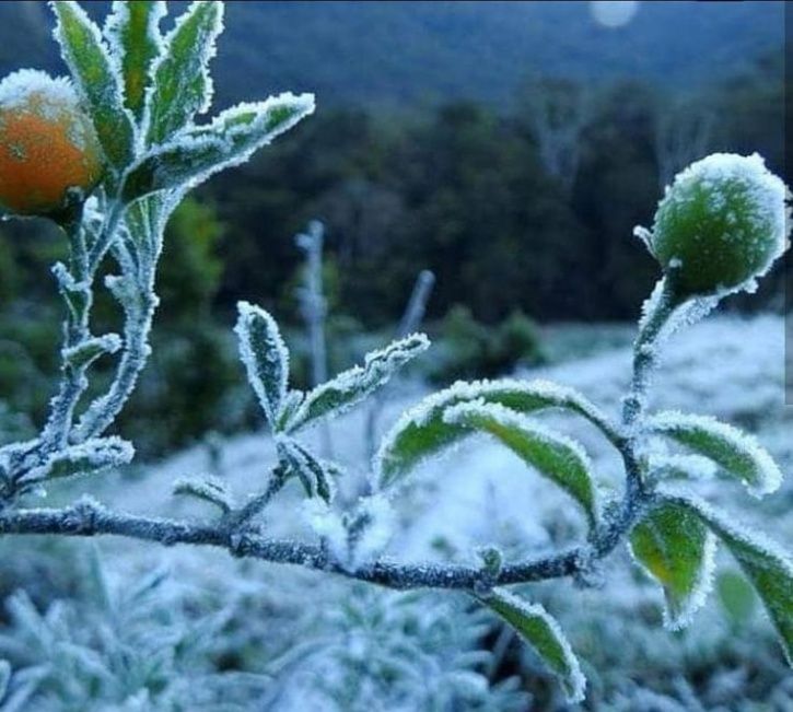 These 20 Images Of Munnar Will Make You Pack Your Bags And Enjoy Some ...