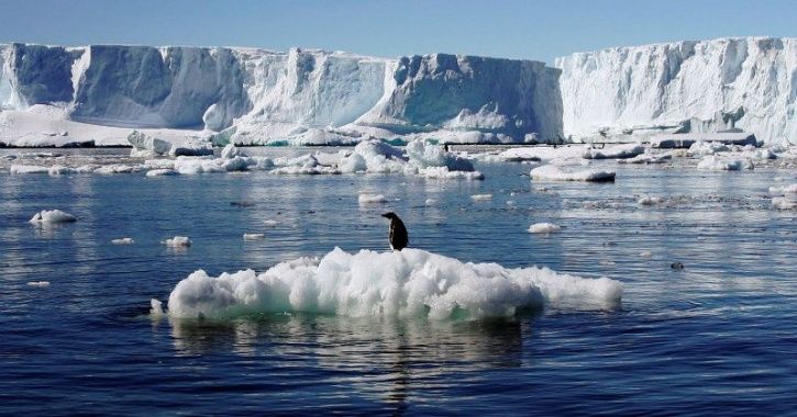 Antarctica's Ice Melt Will Be Unstoppable, Making Global Sea Level Rise ...