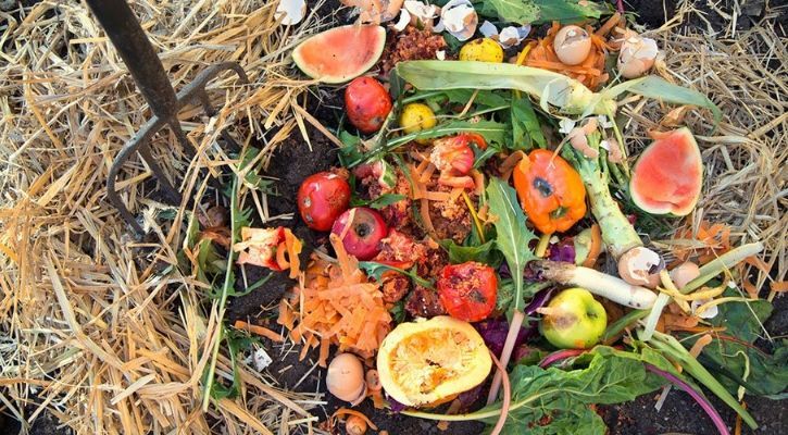 10 Small But Important Lifestyle Changes We Can Make, To Do Our Bit To ...