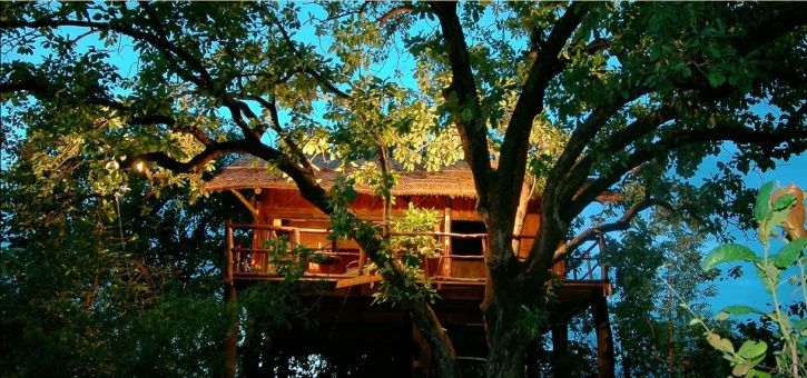 9 Beautiful Tree House Resorts In India That'll Make You Want To Pack ...
