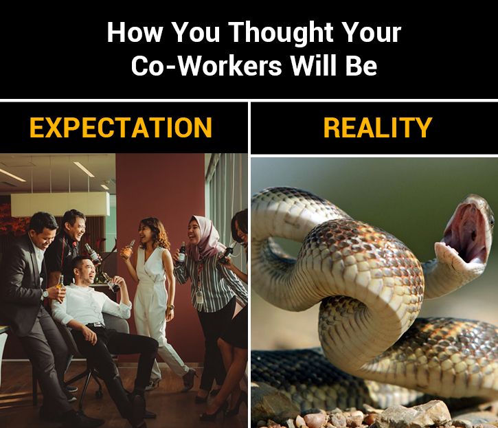 All The Times Reality Destroyed Our Workplace Expectations Leaving Us ...