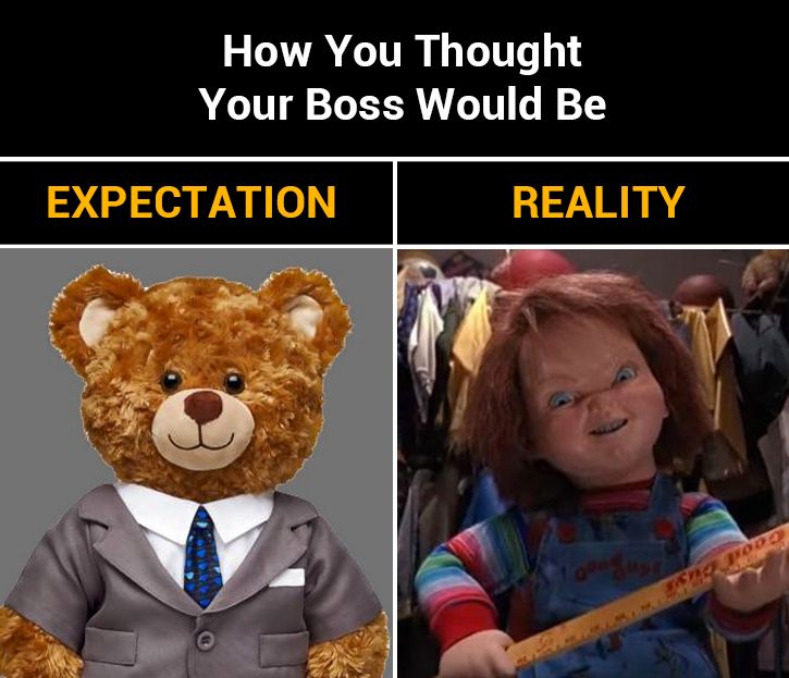All The Times Reality Destroyed Our Workplace Expectations Leaving Us ...