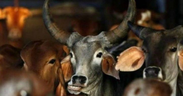 300 Swanky AC Sheds Designed By International Architects May Soon Be ...