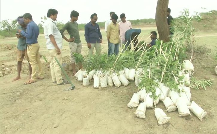 These Karnataka Youngsters Are Planting 1,000 Saplings Every Year ...
