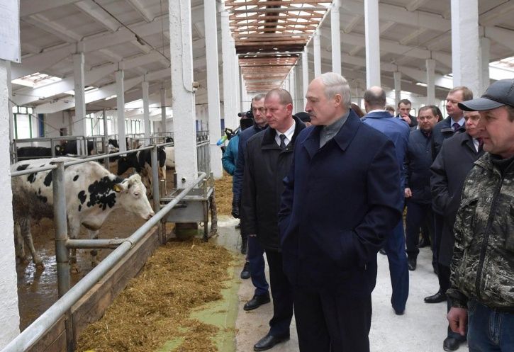 Belarusians Gau Rakshaks Too? Prez Lukashenko Fires Governor For ...