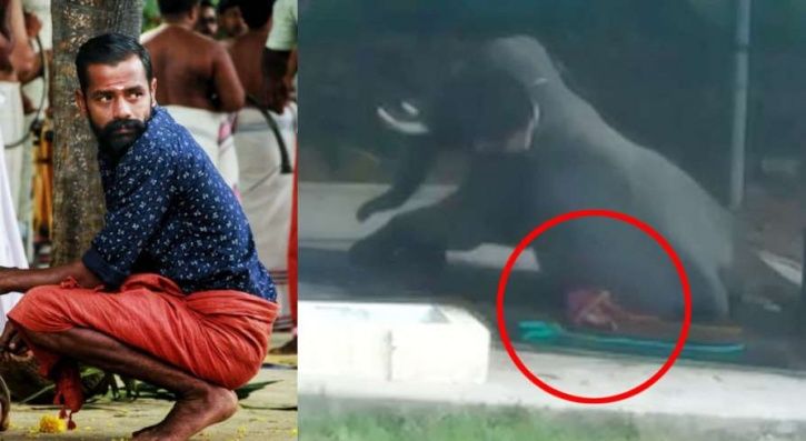 Mahout Slips While Bathing Elephant, Accidentally Crushed To Death In Kerala