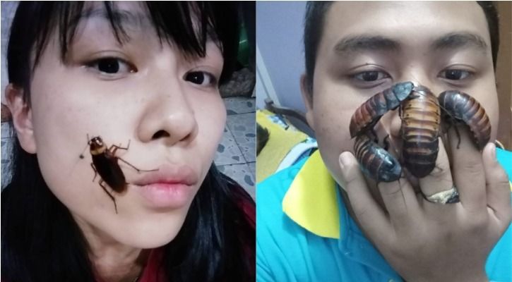 Taking A Selfie With A Cockroach On Your Face: Latest Challenge ...