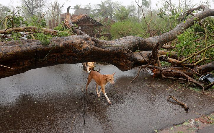 UN Agency Praises India For Minimising Loss Of Life From Cyclone Fani ...