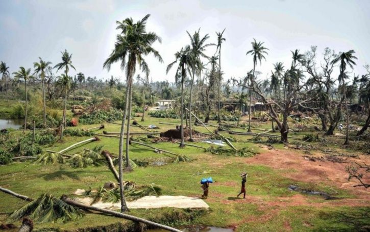 Restoring The Greens: Plantation Drive Follows Fani Destruction In Odisha