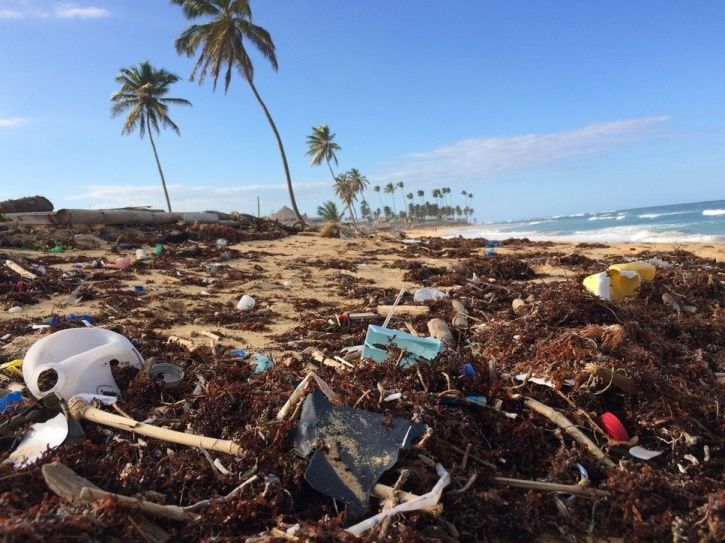 Scary Facts About Plastic Pollution That'll Make You Rethink Your Habits