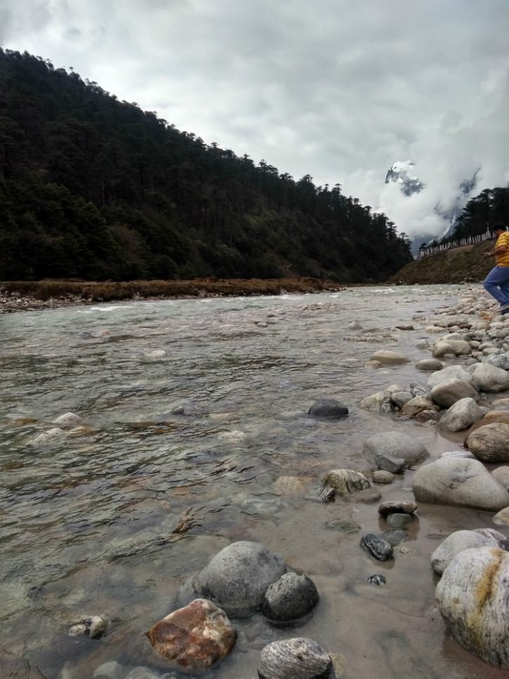 People Of A Small Sikkim Town Are Running The Most Successful Plastic ...