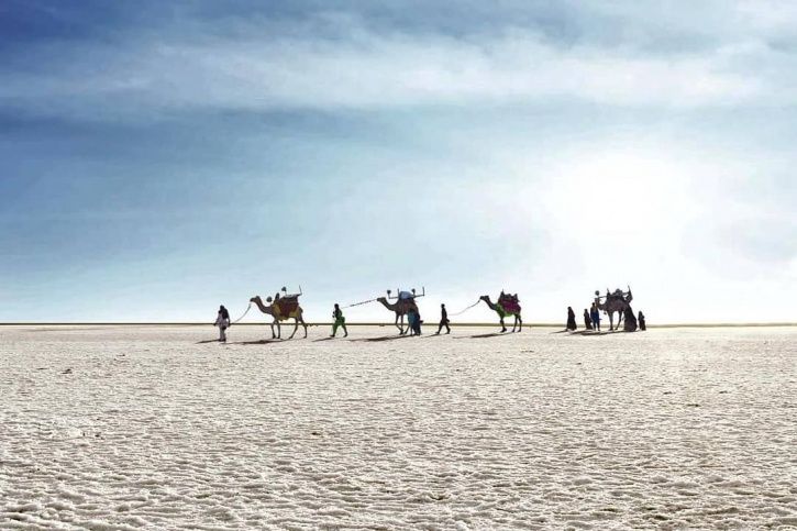 Beautiful Photos That Capture The Magic Of The Great Rann Of Kutch & Will Convince You To Visit