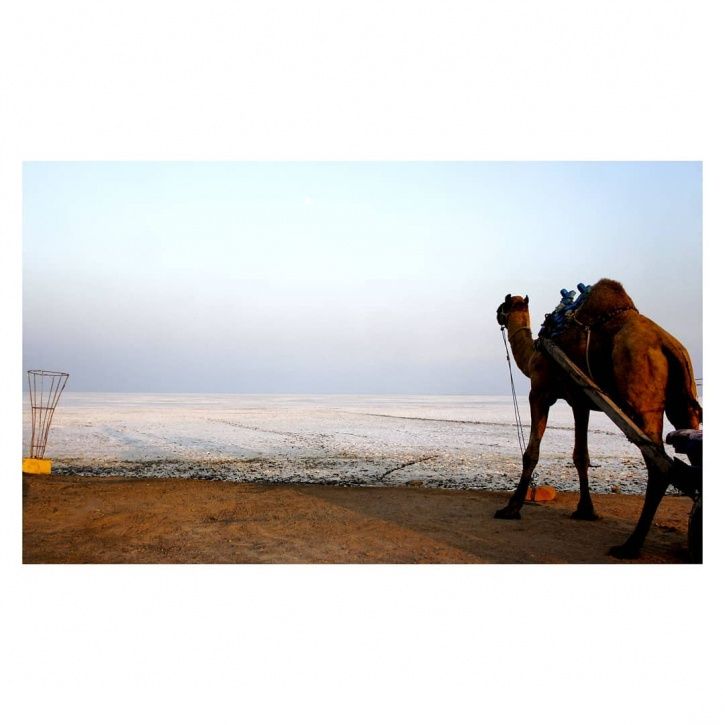 Beautiful Photos That Capture The Magic Of The Great Rann Of Kutch ...