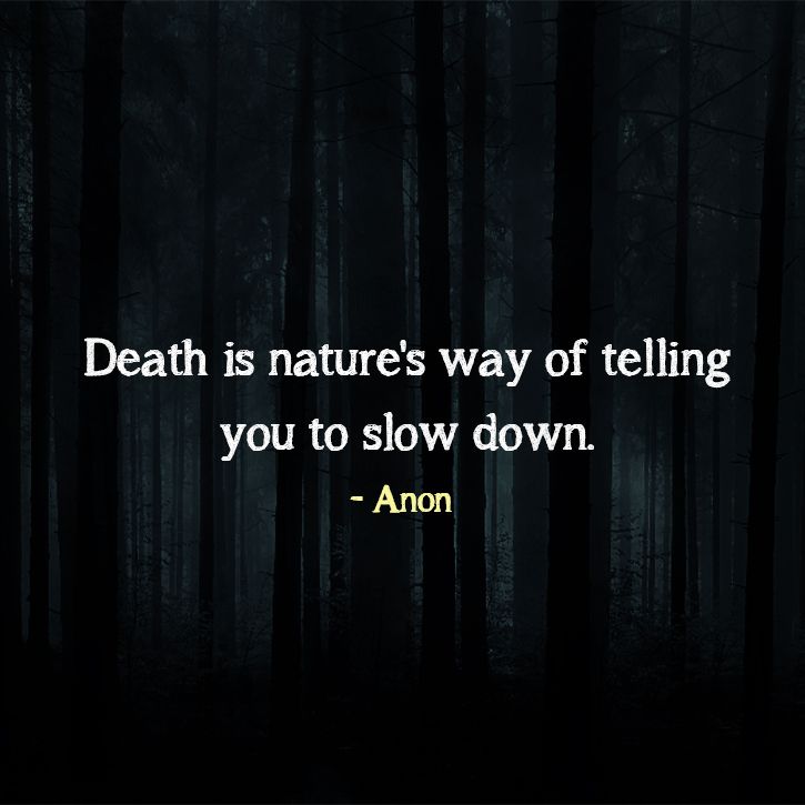 These Funny Quotes On Death Are Perfect For When You Need To Laugh At ...