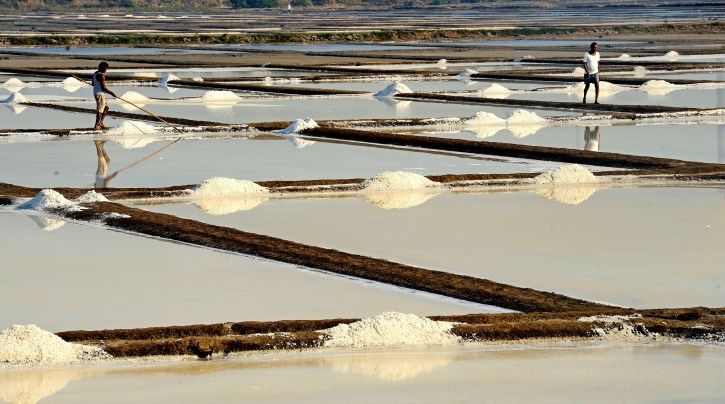 Ecologically Crucial Salt Pans, That Safeguard Mumbai Against Floods ...