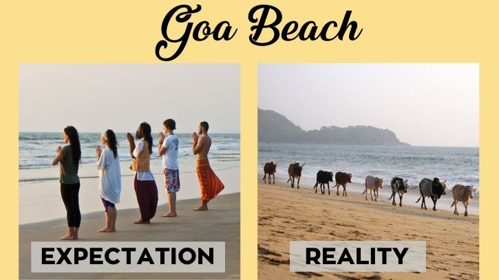 Hilarious Pictures Of Expectations Meeting Reality