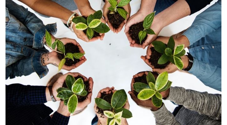 This Eco-NGO Plants Trees On Your Behalf, Gives Jobs To Villagers And ...