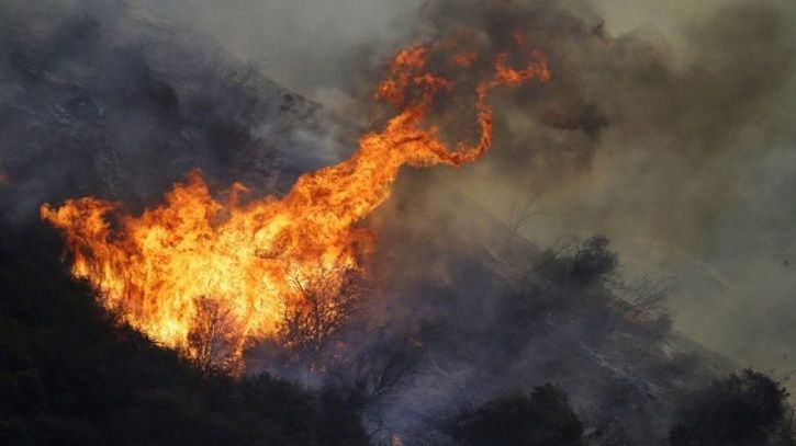 Celebrities Forced To Evacuate Homes After Aggressive Wildfire Engulfs