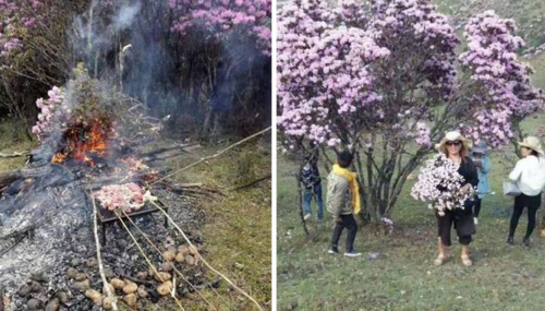 11 Times We Behaved Terribly As Tourists & Why That Has Far-Reaching ...